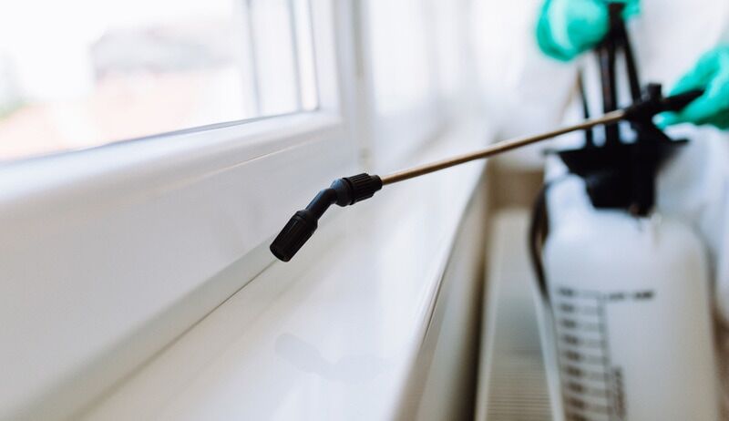 Tomball Pest Control Service – McGrath Pest Control