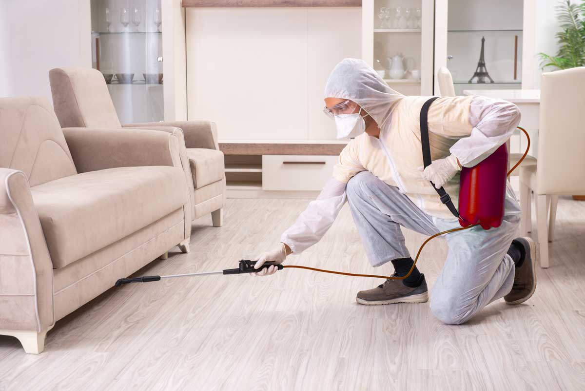 Spring Pest Control Service – McGrath Pest Control