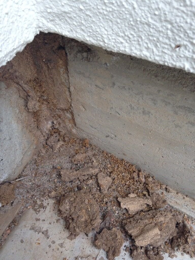 Get Ready Houston…….Termite Season - McGrath Pest Control